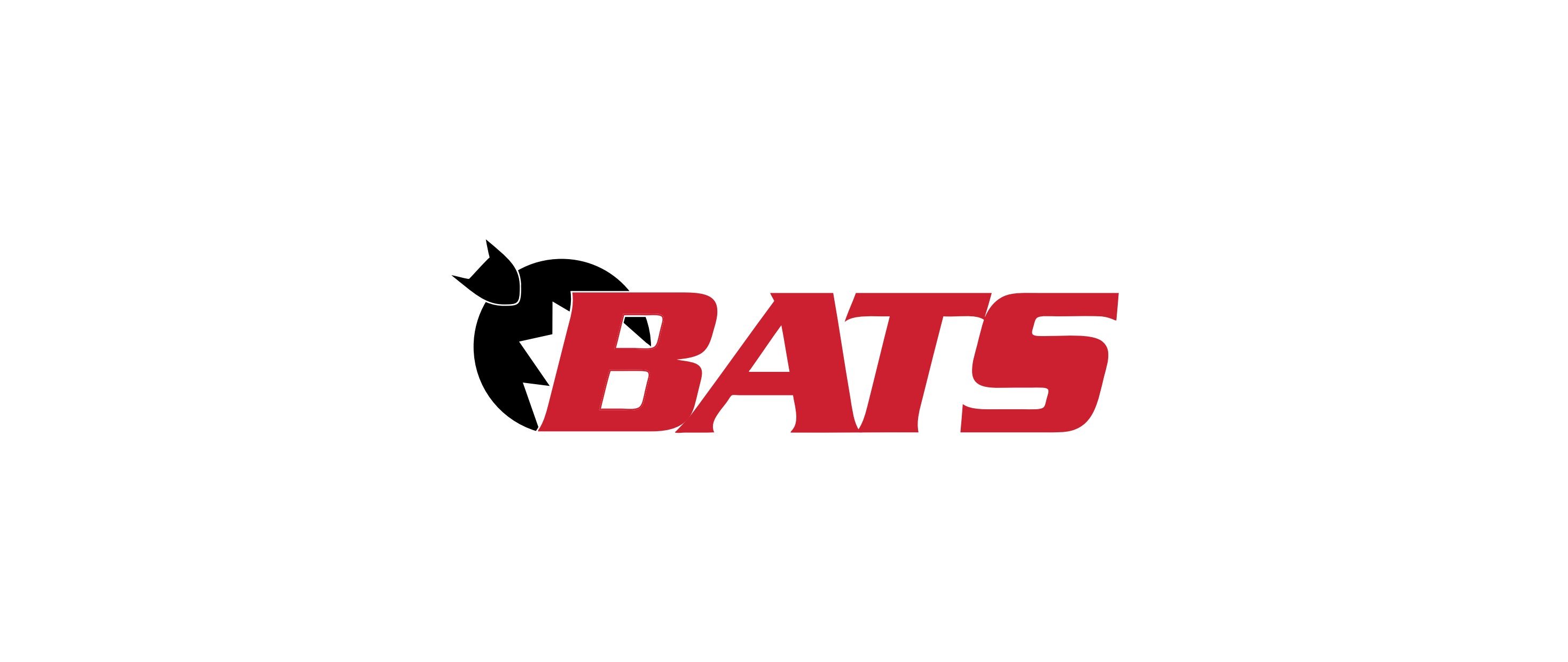 BATS Wireless - Obsima